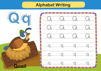 Alphabet isolated letter q-quill-quail Royalty Free Vector