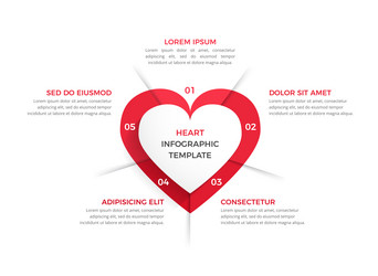 Heart infographics Royalty Free Vector Image - VectorStock