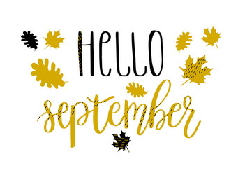 Hello fall lettering text with autumn leaves Vector Image