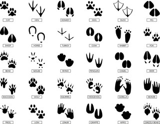 Turkey Feet Pattern