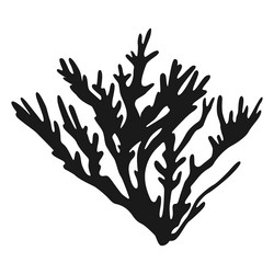 Coral Silhouette Vector Images (over 6,000)