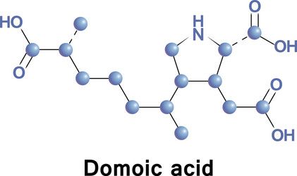 Domoic acid is a kainic acid Royalty Free Vector Image