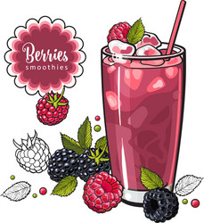 Smoothie raspberry Royalty Free Vector Image - VectorStock