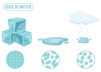 Fundamentals states of matter with molecules Vector Image
