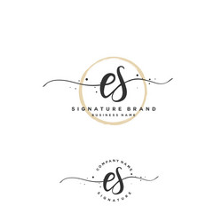 Letter initial mv beauty monogram and elegant Vector Image