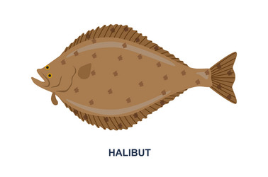 Fluke Fish Vector Images (61)