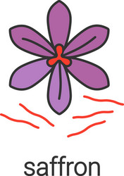 Saffron Vector Images (over 7,300)
