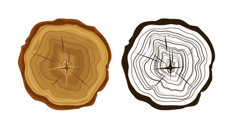 Tree Rings Logo Vector Images (over 1,500)