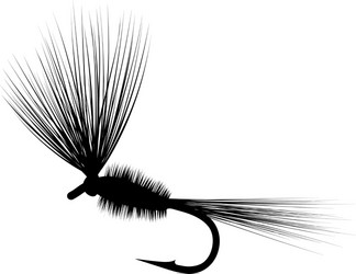 Dry fly Royalty Free Vector Image - VectorStock