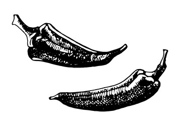 Chilli Drawing Vector Images (over 2,400)
