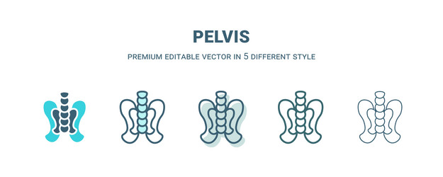 Pelvis Logo Vector Images (over 520)