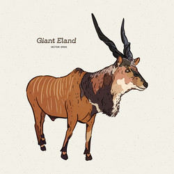Eland Vector Images (over 100)
