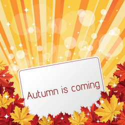 Wooden sign with autumn maple tree leaves Vector Image