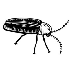 Blue cockroach flat Royalty Free Vector Image - VectorStock