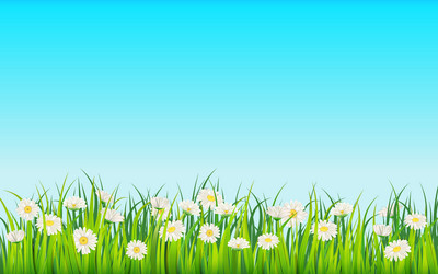 Spring grass seamless border floral Royalty Free Vector