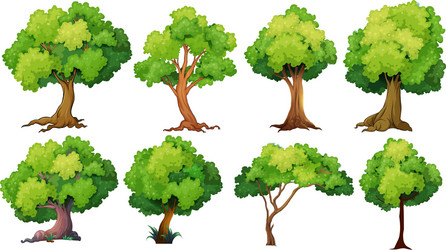 Tree Vector Images (over 1.3 million)