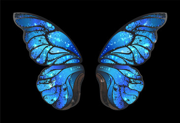 Simple Butterfly Wing Design