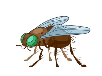Insect fly side view pose agile aerial Royalty Free Vector
