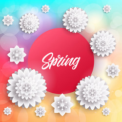 Spring lettering on circle paper flowers Vector Image