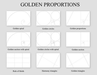 Golden proportion template Royalty Free Vector Image
