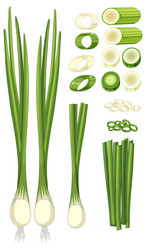 Cartoon spring onion isolated Royalty Free Vector Image