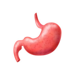 Stomach Clipart Vector Images (over 650)