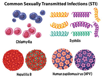 Common sexually transmitted infections sti Vector Image