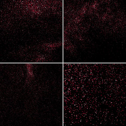 Ornamental background with square crosswise frame Vector Image