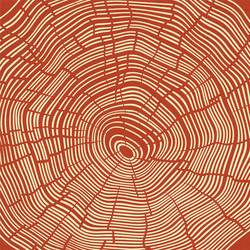 Tree rings Royalty Free Vector Image - VectorStock