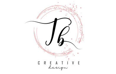 Creative colorful letters tb t b logo Royalty Free Vector