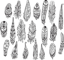 Seamless ethnic indian feathers plumage pattern Vector Image