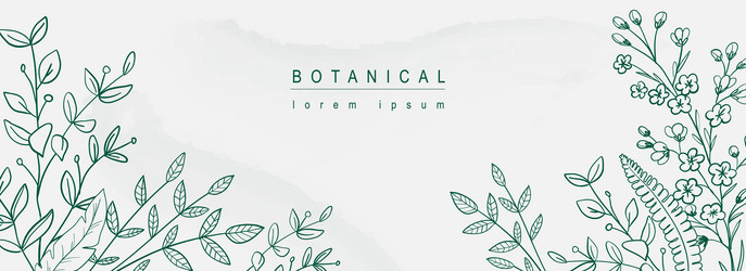 Botanical abstract background with floral line art