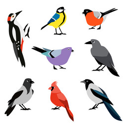 Set of birds Royalty Free Vector Image - VectorStock