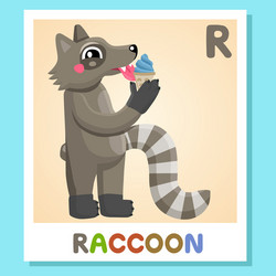 R is for raccoon letter cute animal Royalty Free Vector