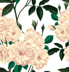 Rose seamless pattern Royalty Free Vector Image