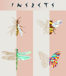 Abstract insects Royalty Free Vector Image - VectorStock