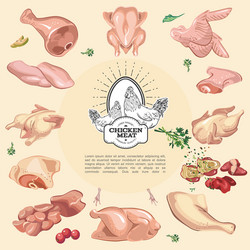 Raw chicken delicious meat for healthy cooking Vector Image