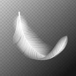 White flying feather Royalty Free Vector Image