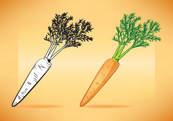 Carrot Top Vector Images (over 2,000)