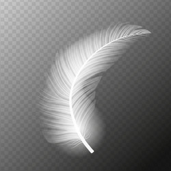 White flying feather Royalty Free Vector Image