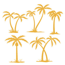 Palm contours Royalty Free Vector Image - VectorStock