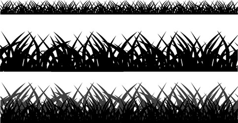 Silhouette grassland beautiful grass and weeds Vector Image