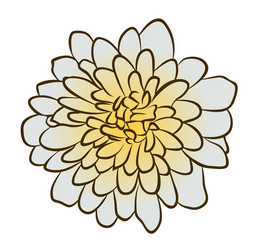 Aster Flower Vector Images (over 3,100)