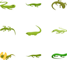 Newt Icon Vector Images (over 250)