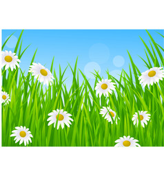Flower and grass for decor Royalty Free Vector Image