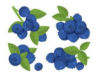 Set of various stylized blueberries Royalty Free Vector