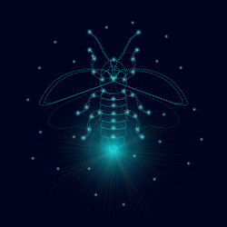 Firefly Vector Images (over 4,800)