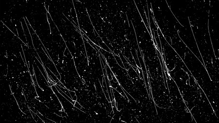 White paint splatter Royalty Free Vector Image