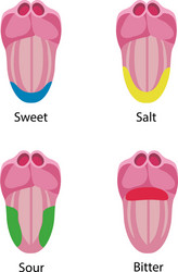 Umami Vector Images (92)