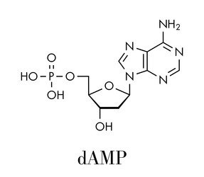 Nucleotide Vector Images (over 560)